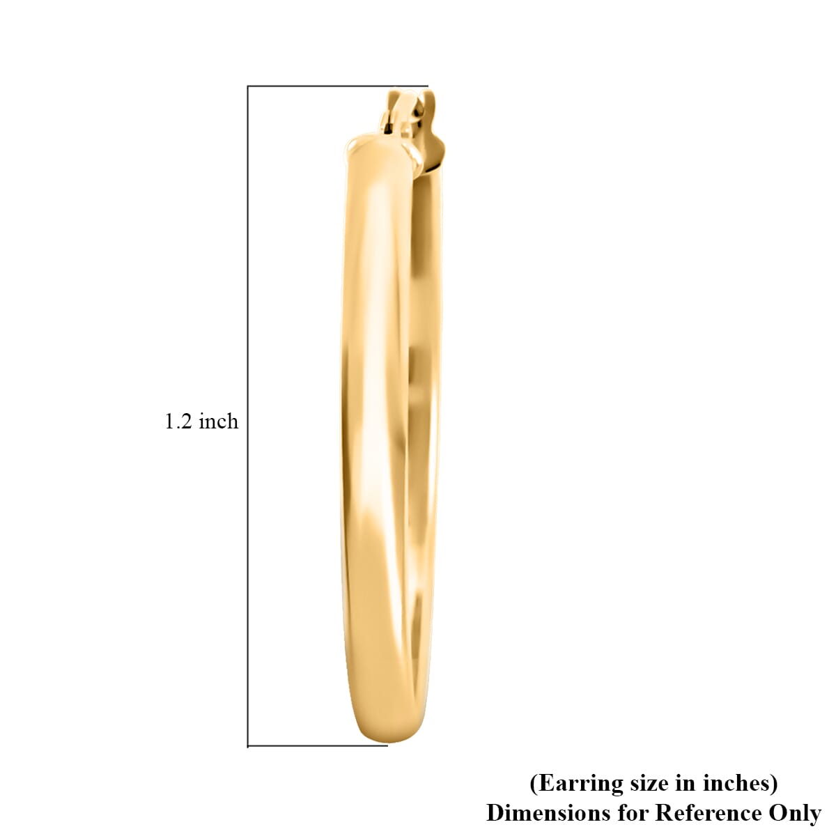 Buy Maestro Gold Collection Italian Polished Hoop Earrings in 10K ... Buy Maestro Gold Collection Italian Polished Hoop Earrings in 10K ...
